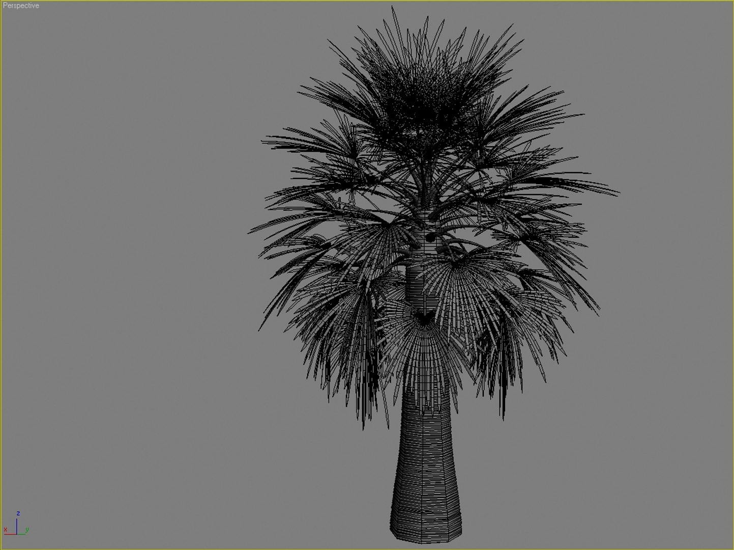 3d model palm tree