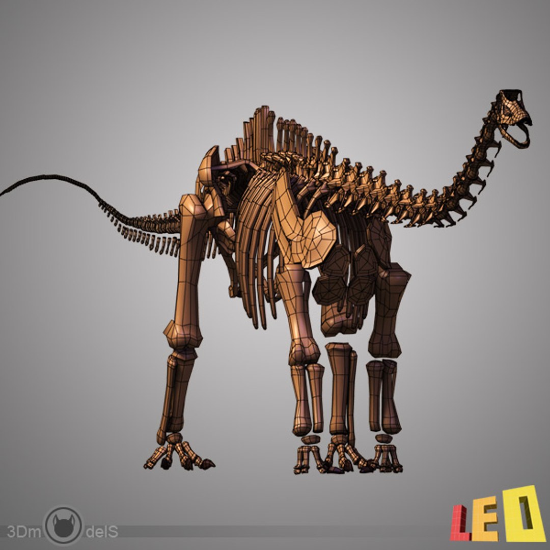 dino skeleton max