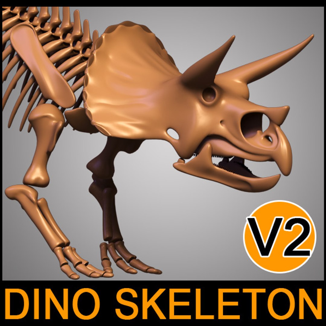 Dino Skeleton Max