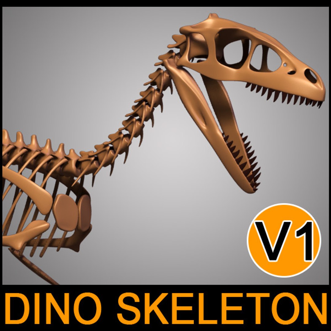 Dino Skeleton Max