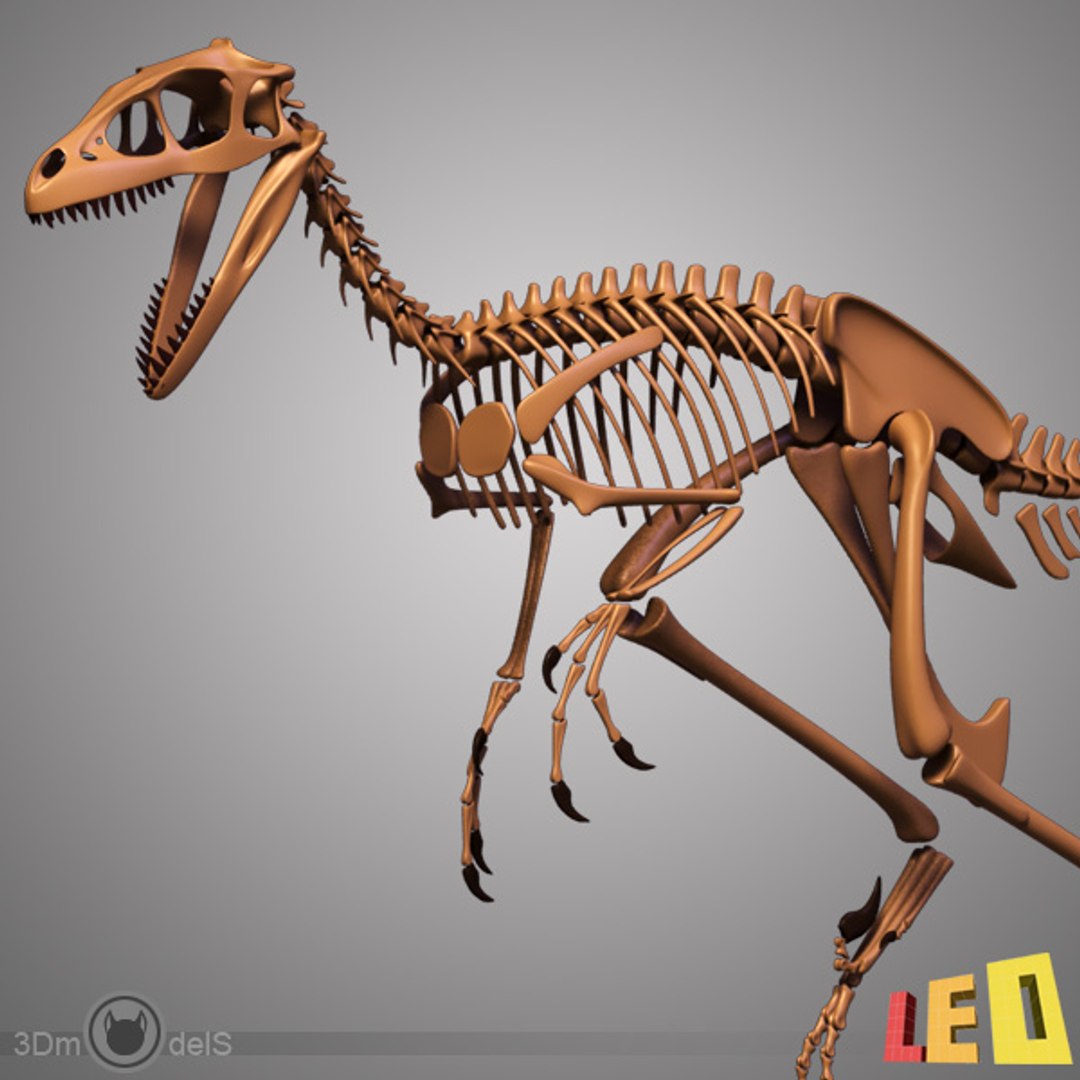 Dino Skeleton Max