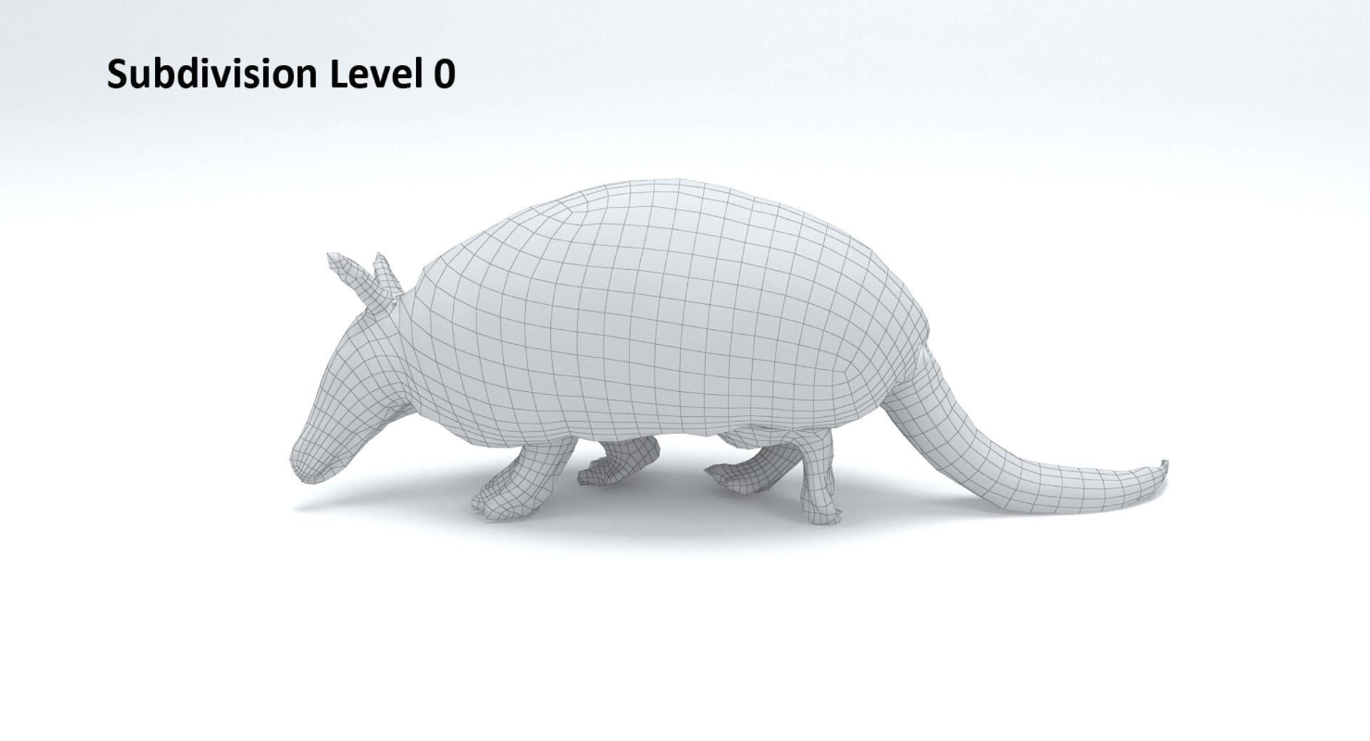 Armadillo 3d Model