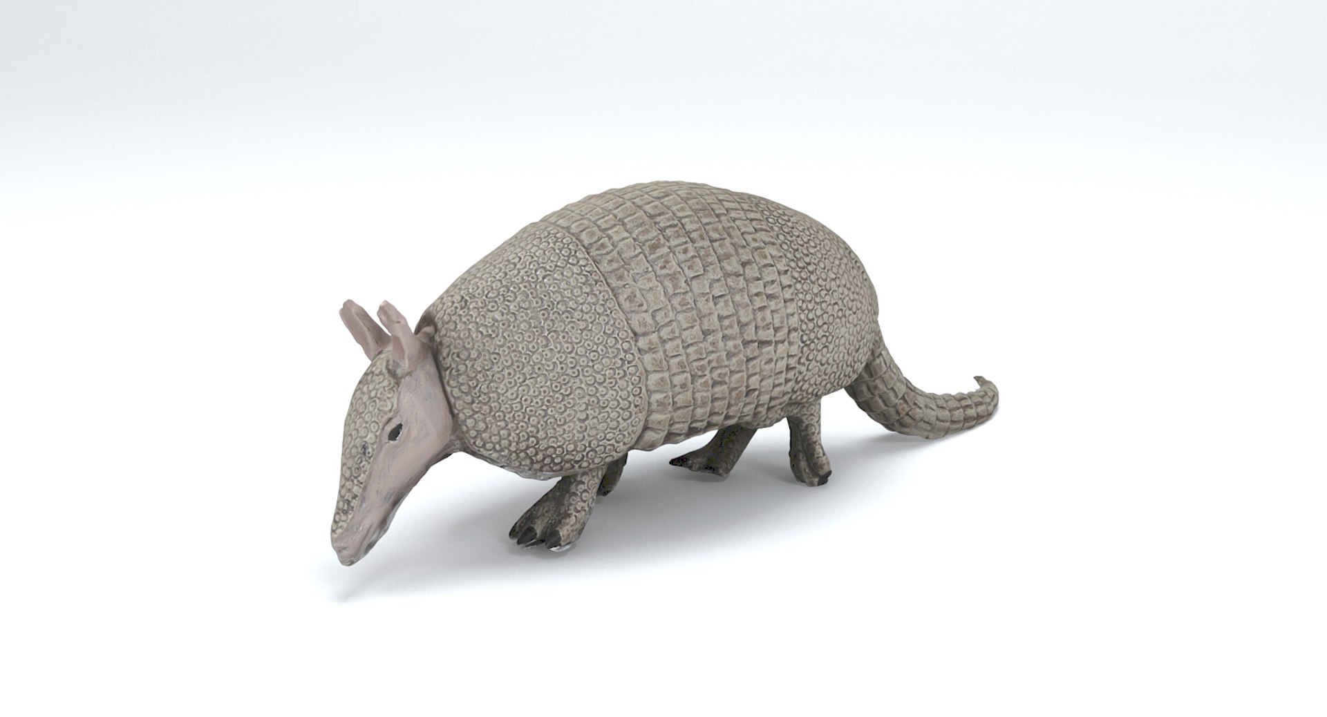 Armadillo 3d Model