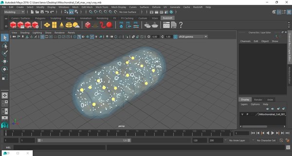 modelo 3d Célula mitocondrial - TurboSquid 2222190