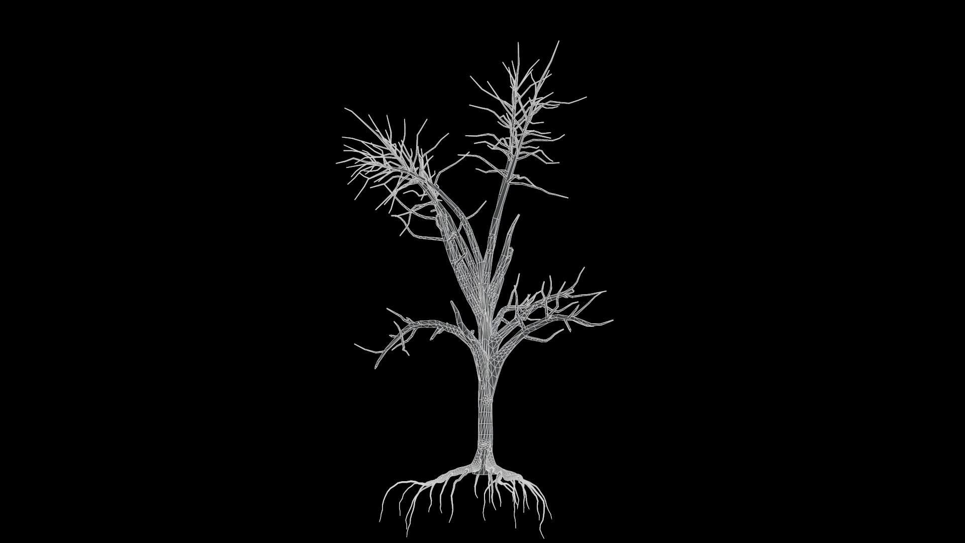 3D Broadleaf 005 Model - TurboSquid 1733513