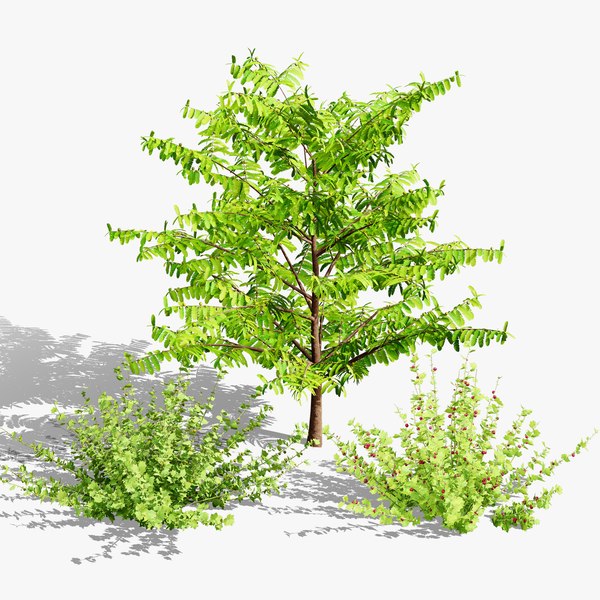 modelo 3d Grosella espinosa de Flandes realista - TurboSquid 2396881