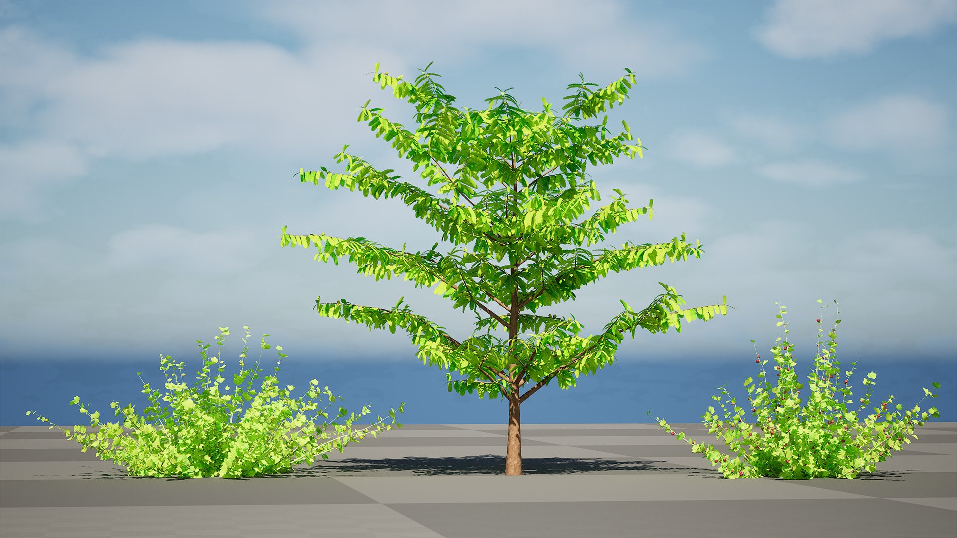 Realistic Flander Gooseberry Bush 3D Model - TurboSquid 2396881