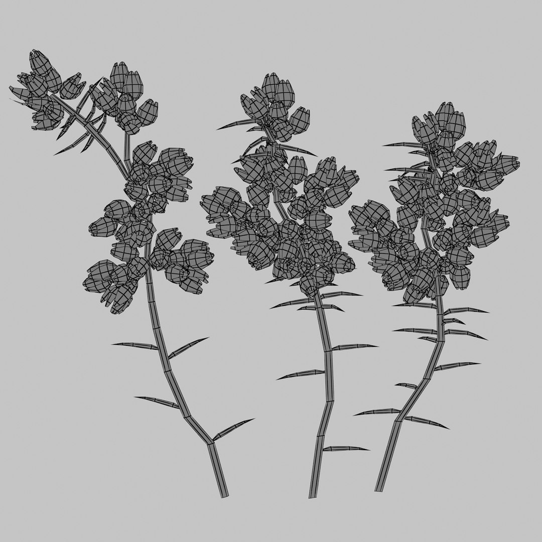 3d Gorse Flower