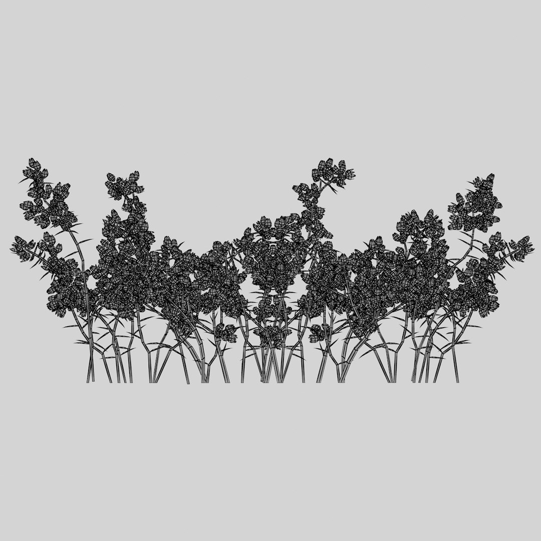 3d Gorse Flower
