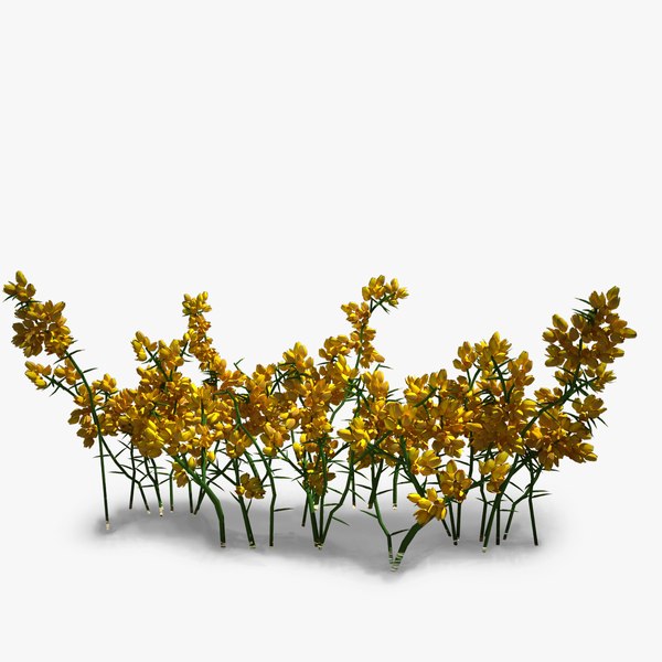 modelo 3d Tojo - TurboSquid 691493