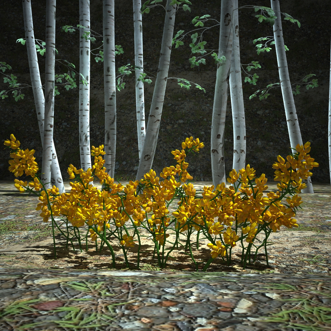 3d Gorse Flower