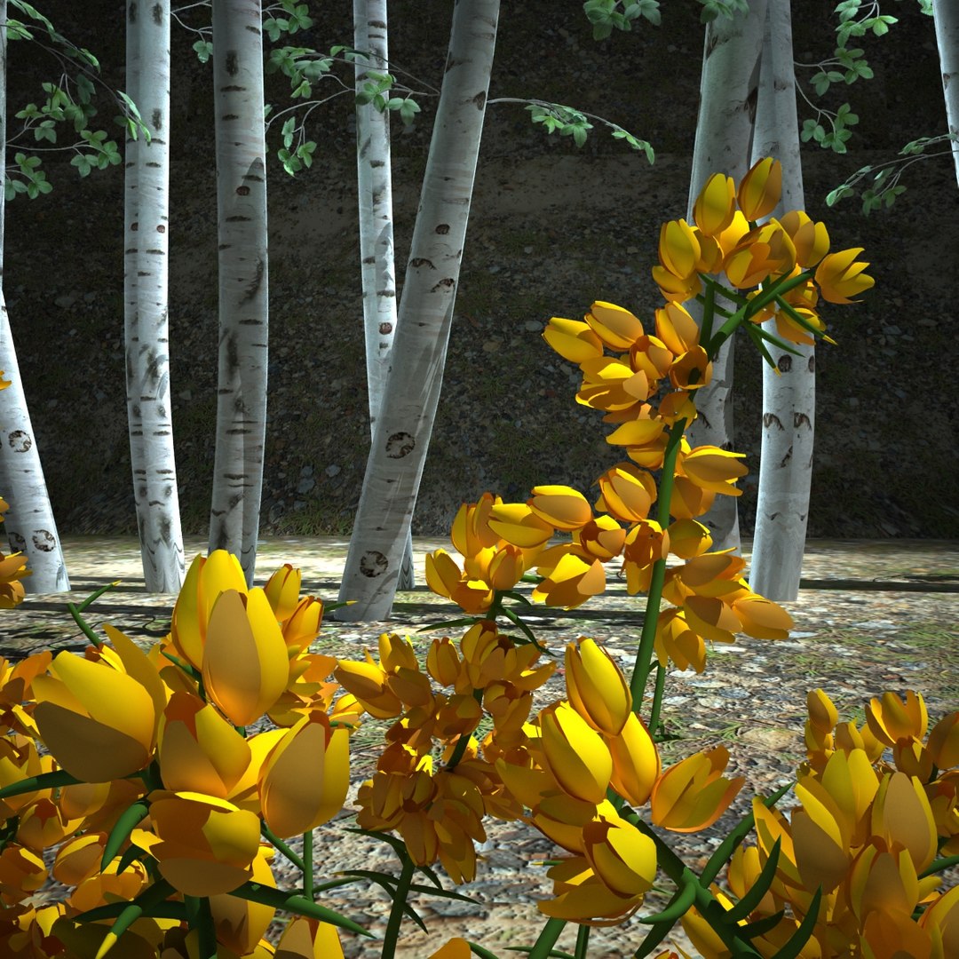 3d Gorse Flower