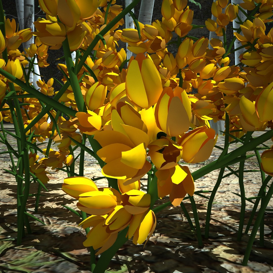 3d Gorse Flower