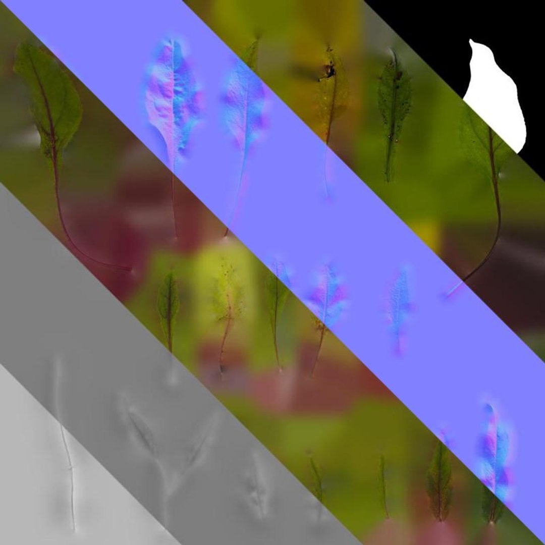 Anydrafts Penstemon Digitalis Leaf 01 Textures 3D Model - TurboSquid ...