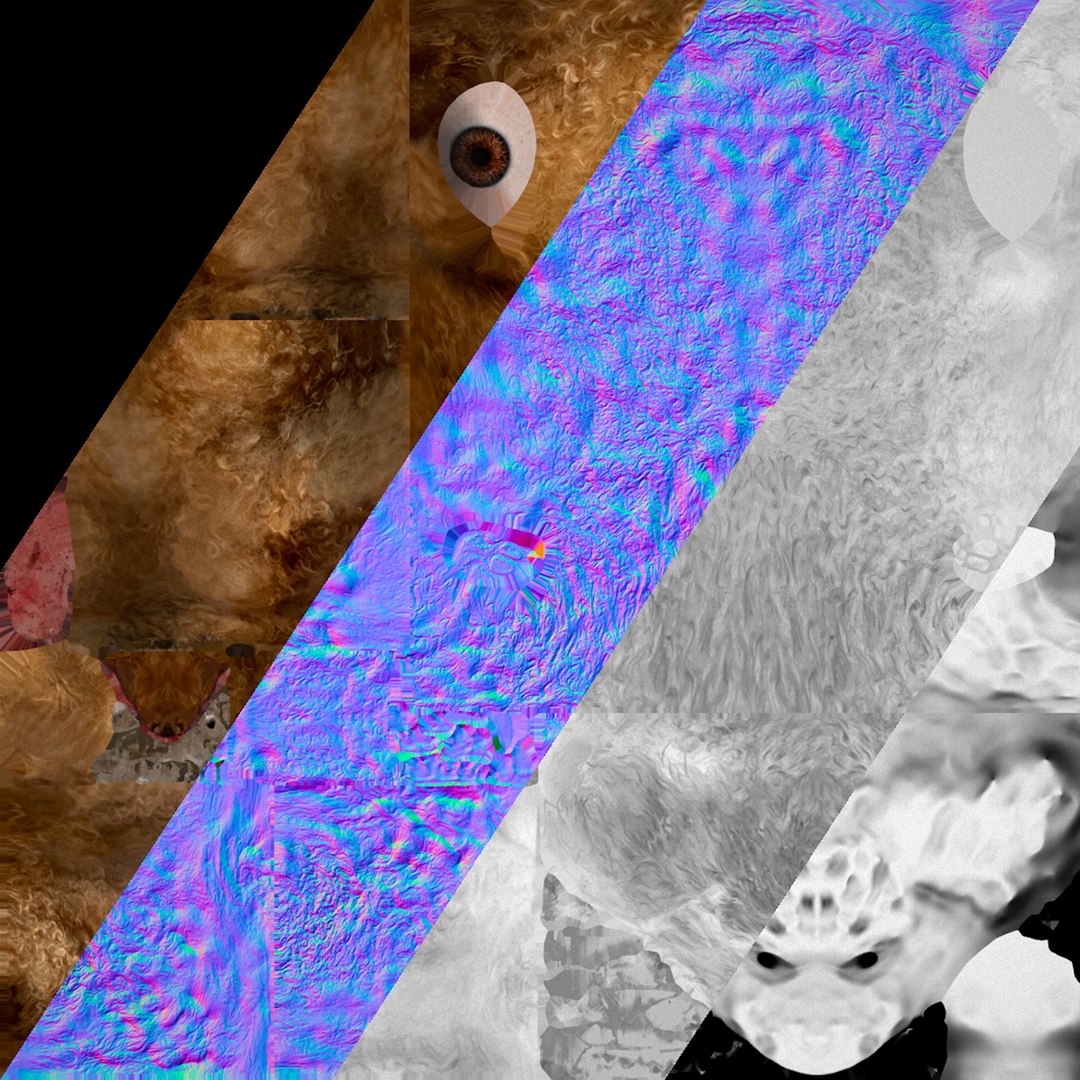 3D Model Dog Cockapoo Cocker Spaniel Mix Poodle - TurboSquid 2066970