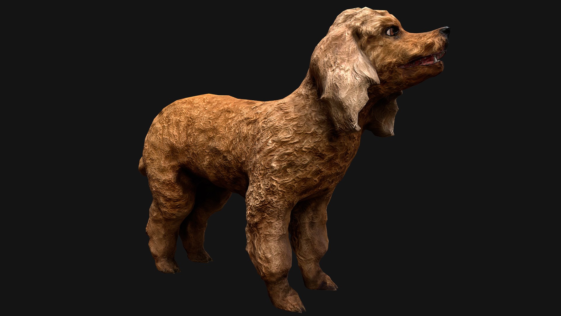 3D Model Dog Cockapoo Cocker Spaniel Mix Poodle - TurboSquid 2066970