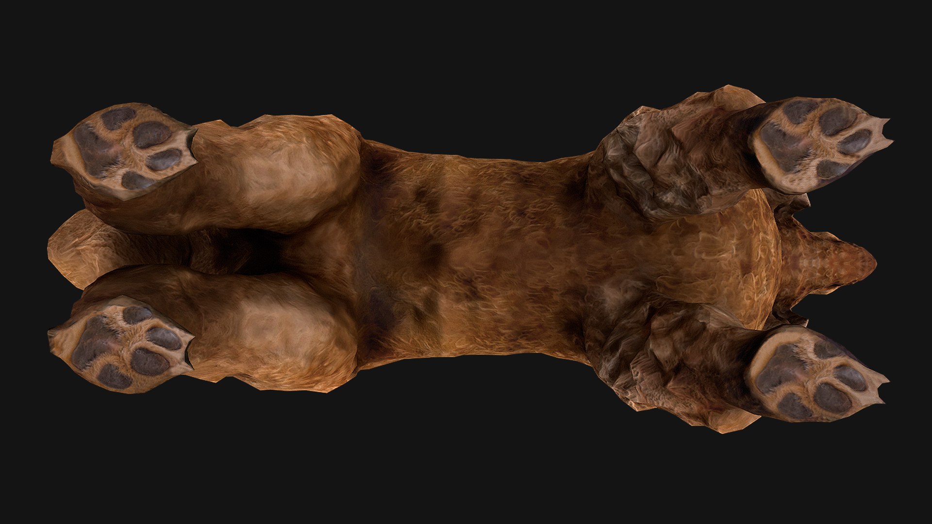 3D Model Dog Cockapoo Cocker Spaniel Mix Poodle - TurboSquid 2066970