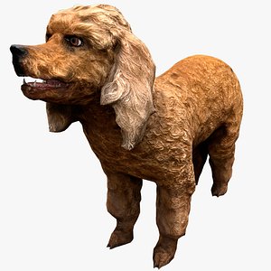Cocker Spaniel 3D Models for Download | TurboSquid