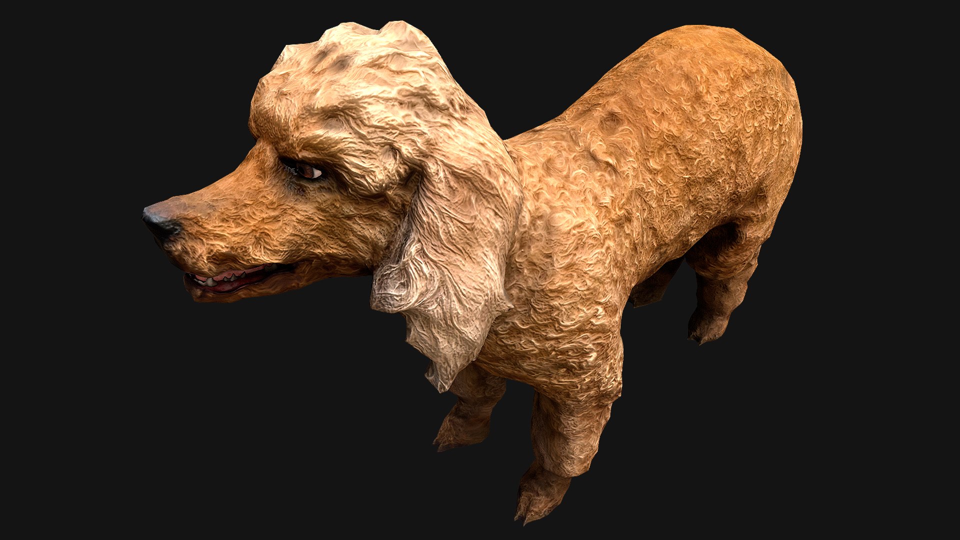 3D Model Dog Cockapoo Cocker Spaniel Mix Poodle - TurboSquid 2066970