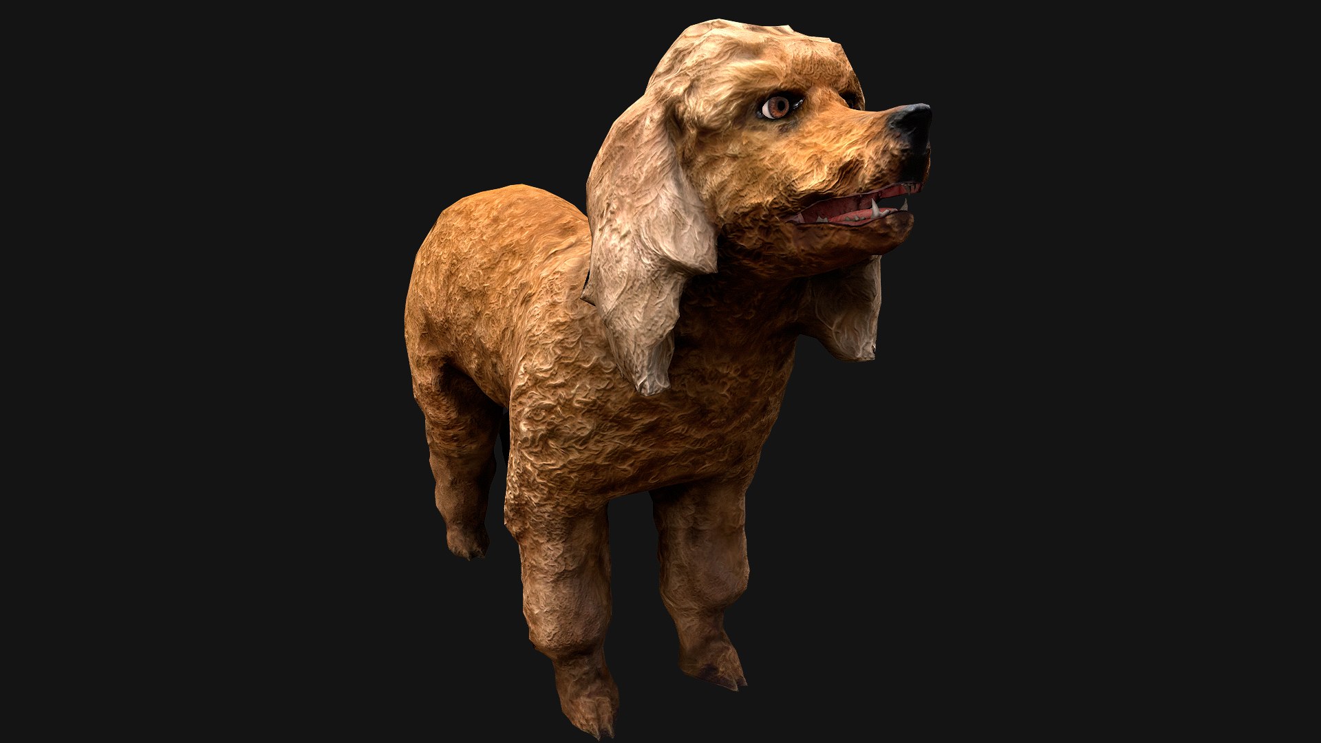3D Model Dog Cockapoo Cocker Spaniel Mix Poodle - TurboSquid 2066970