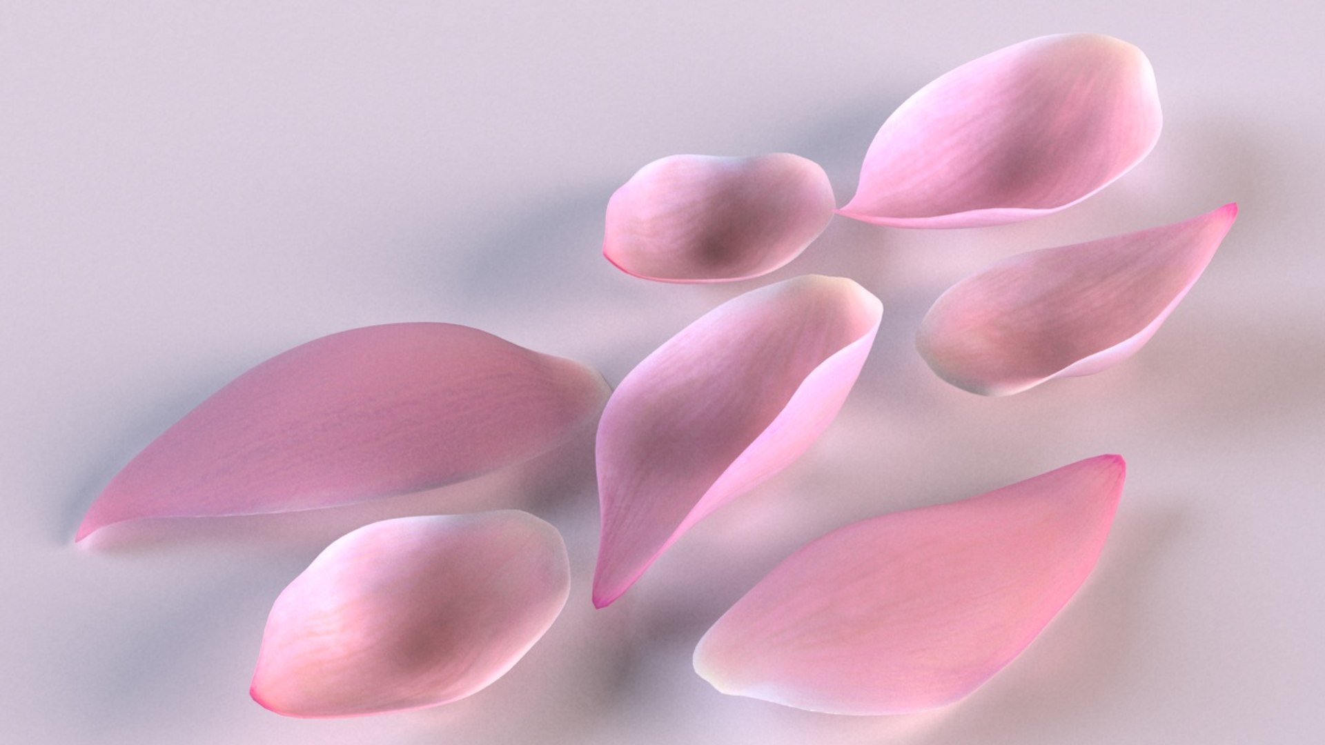 3D Model Flower Petal S - TurboSquid 1604590