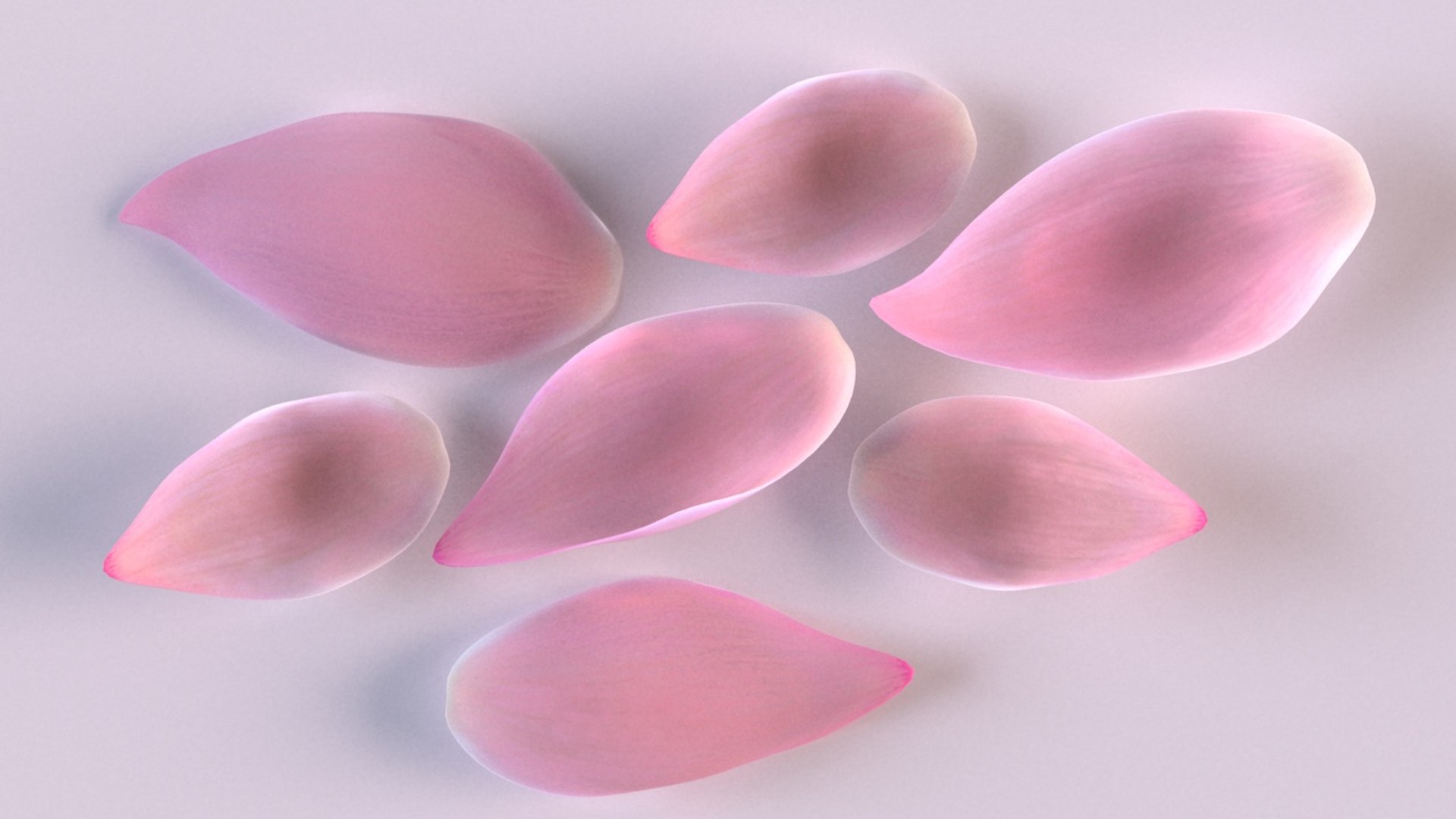 3D Model Flower Petal S - TurboSquid 1604590