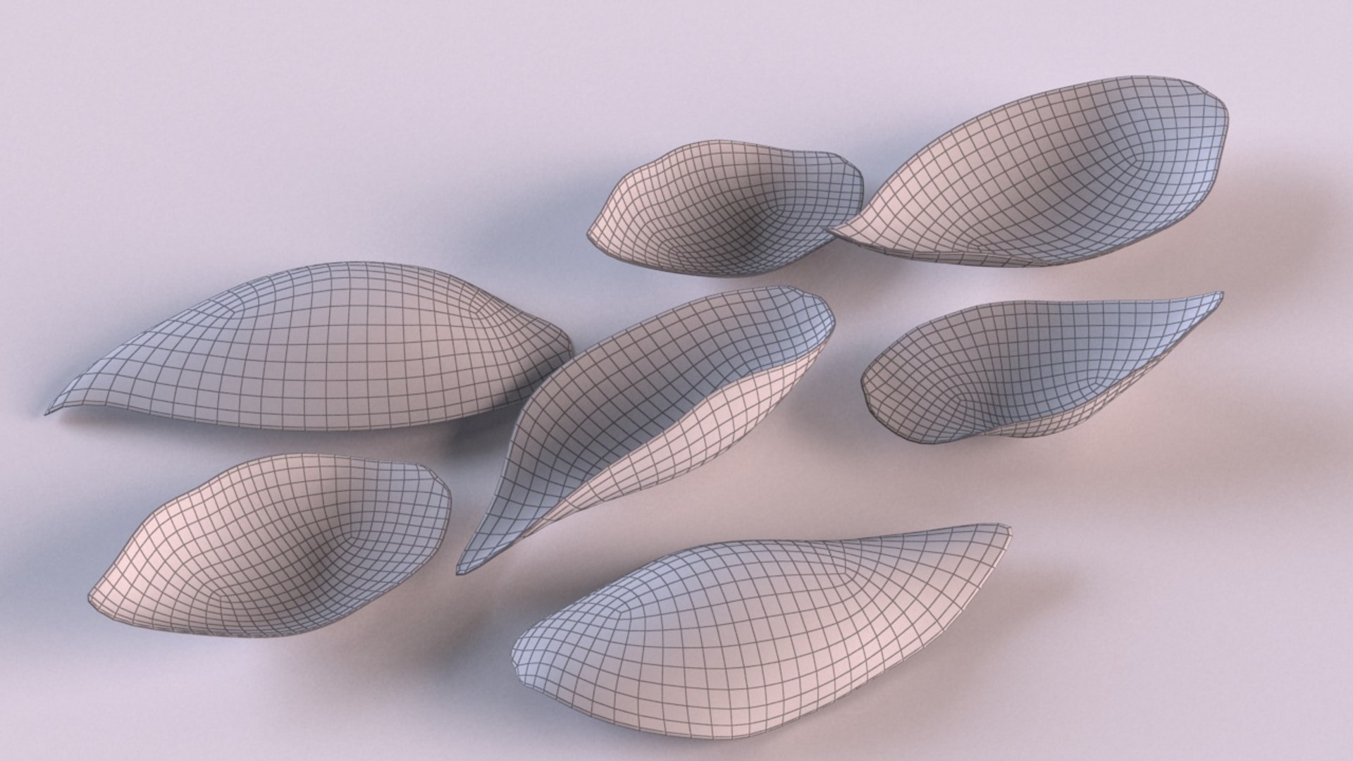 3D Model Flower Petal S - TurboSquid 1604590