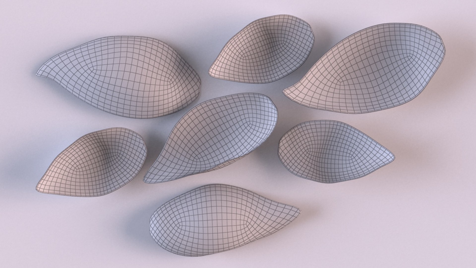 3D Model Flower Petal S - TurboSquid 1604590