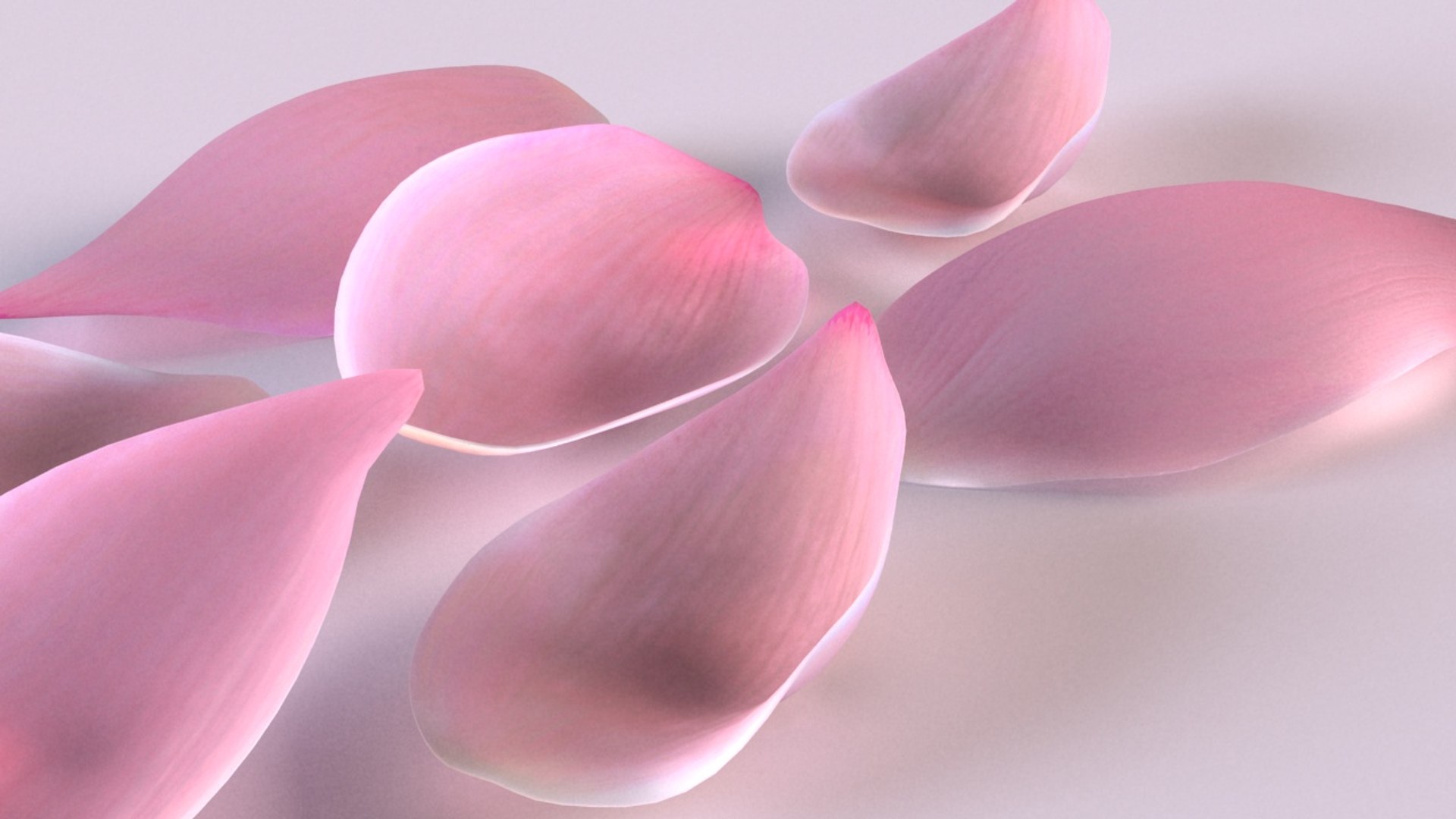 3D Model Flower Petal S - TurboSquid 1604590