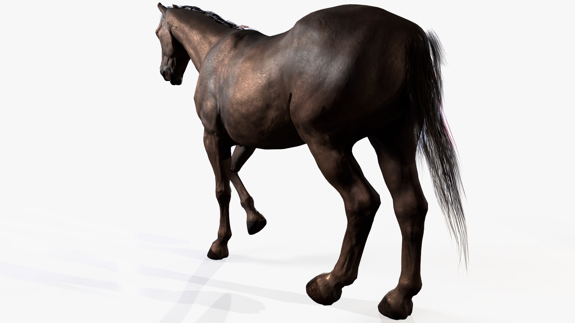 Horse Rigged 3D Model - TurboSquid 1914284