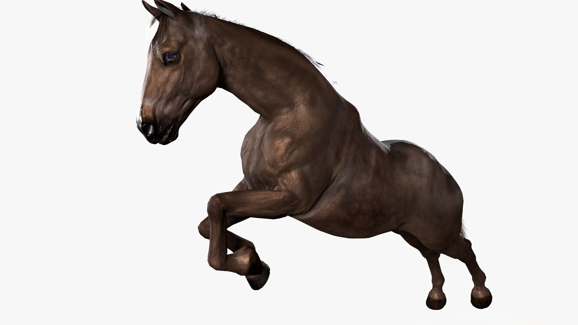 Horse Rigged 3D Model - TurboSquid 1914284