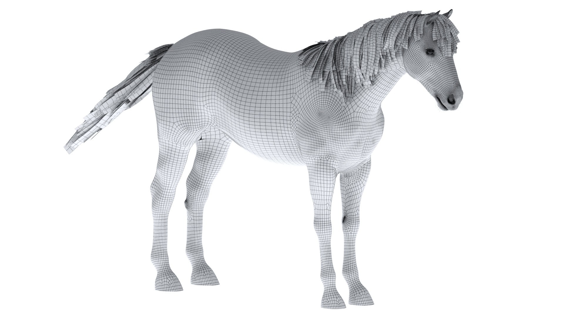 Horse Rigged 3D model - TurboSquid 1914284