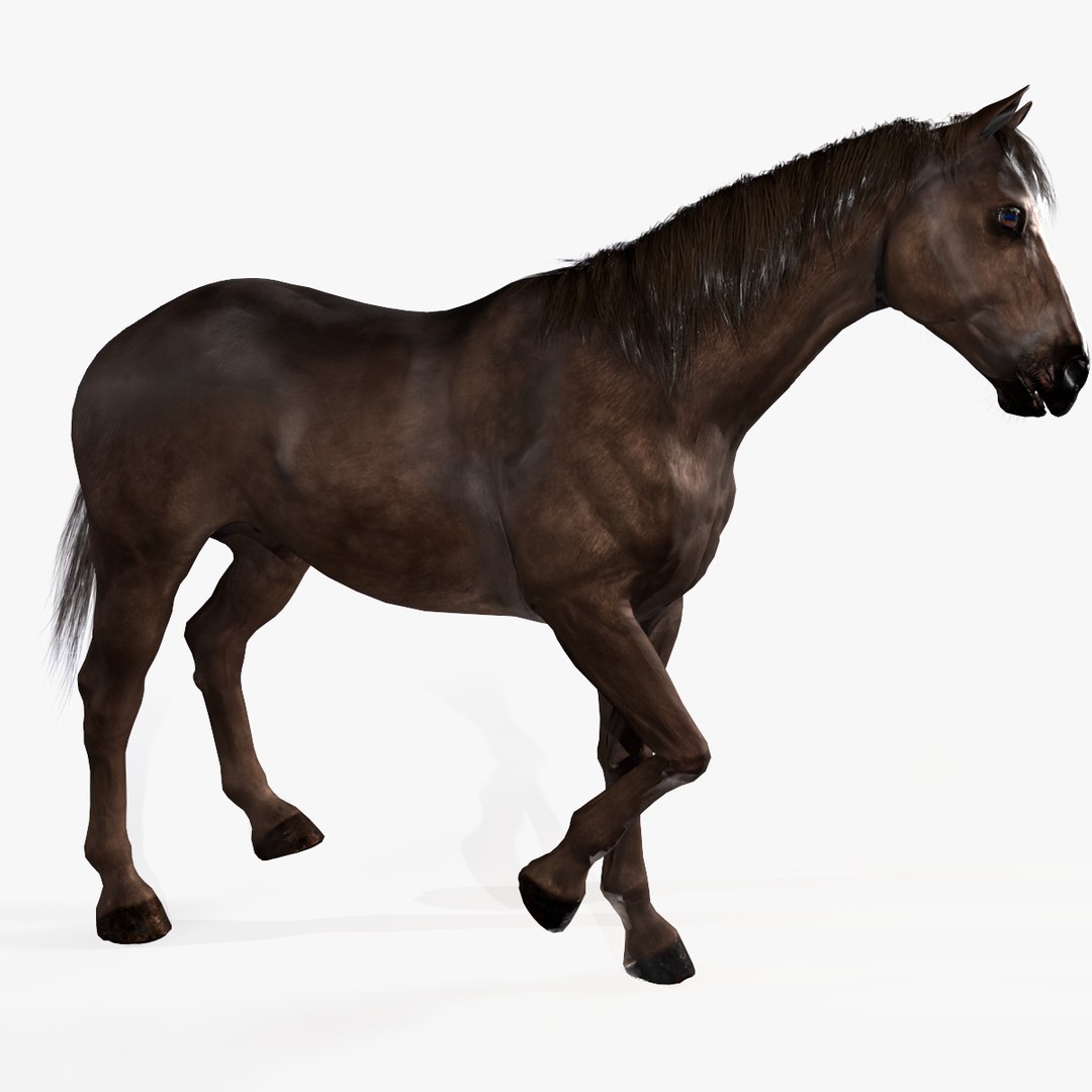 Horse Rigged 3D model - TurboSquid 1914284