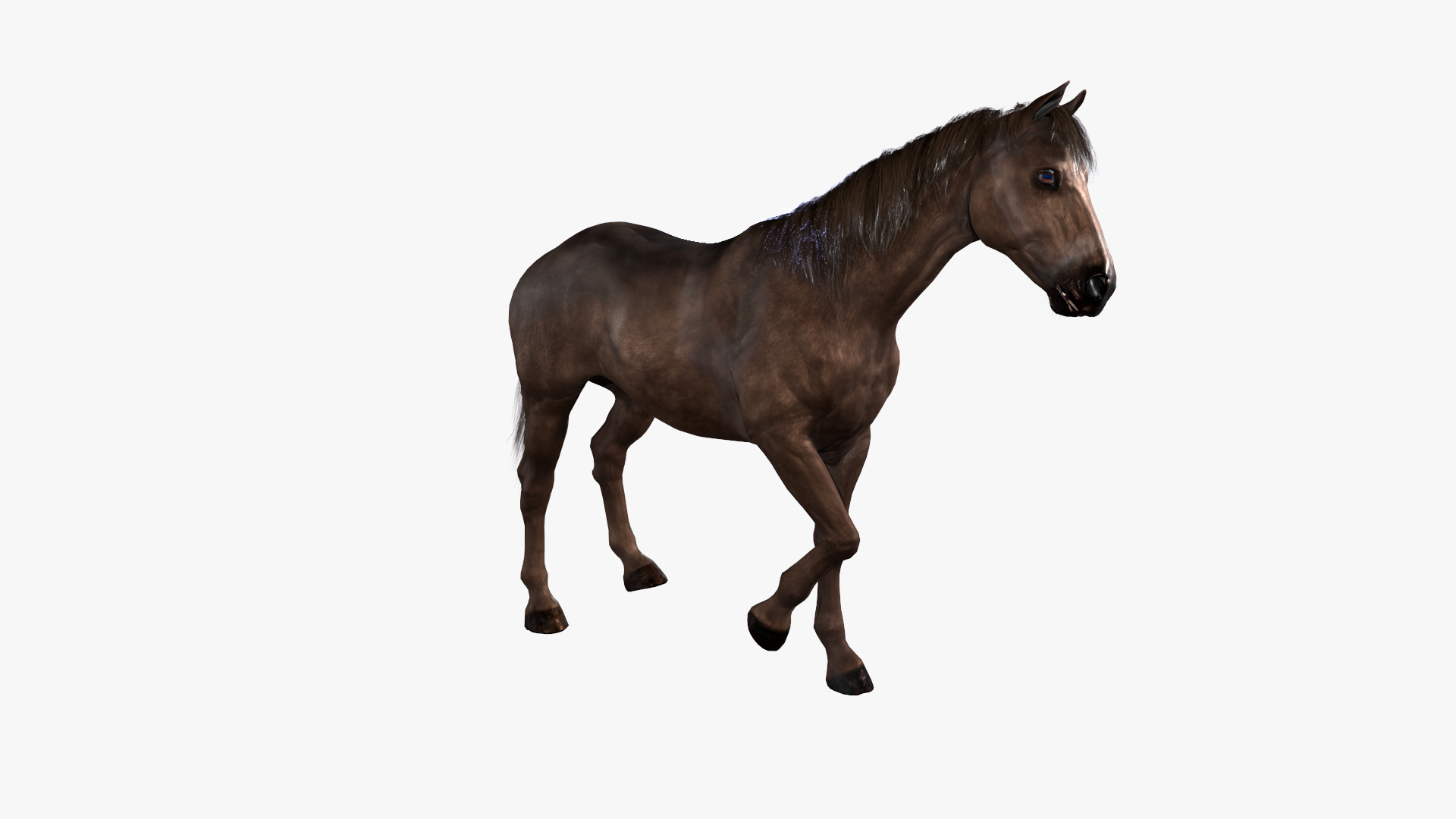 Horse Rigged 3D Model - TurboSquid 1914284