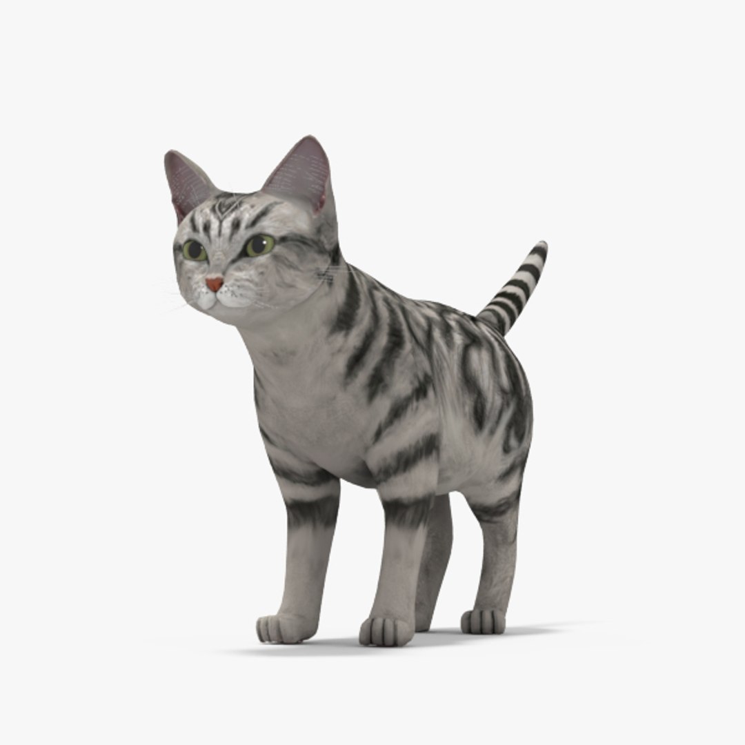 Cat 3d Max