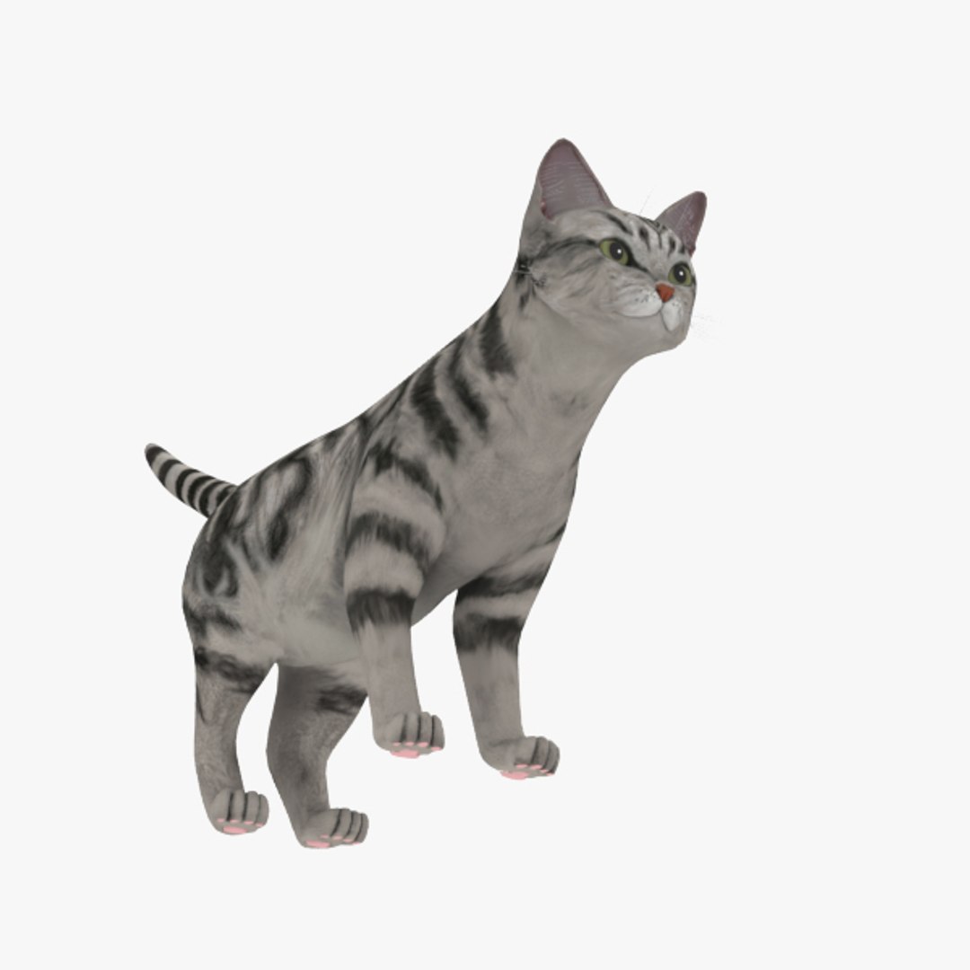 Cat 3d Max