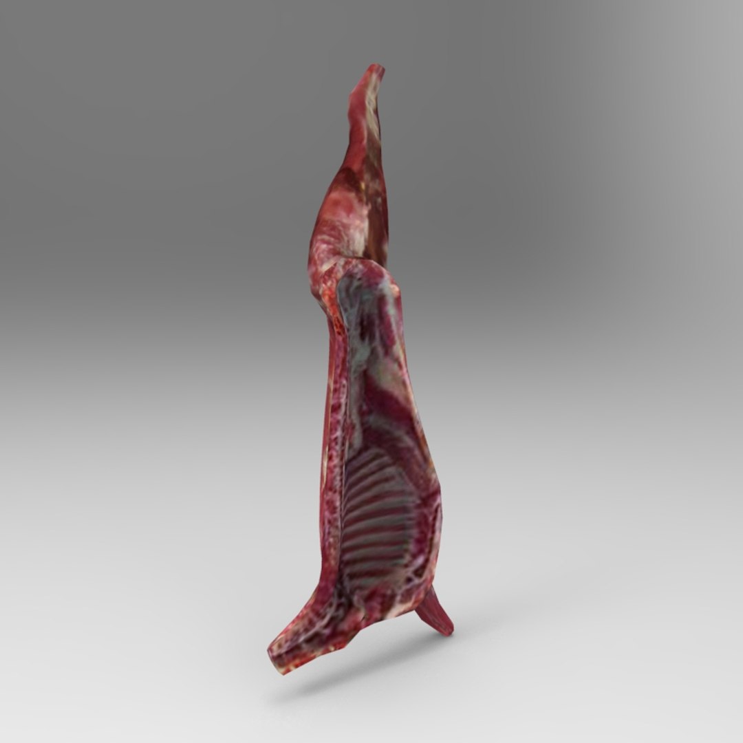 3d Meat Model