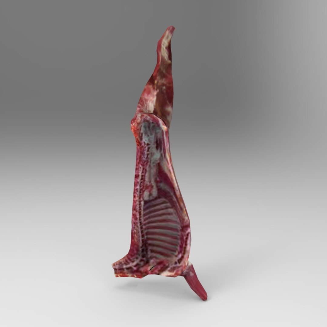 3d Meat Model