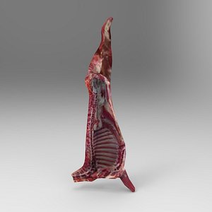 3d Model Meat 04