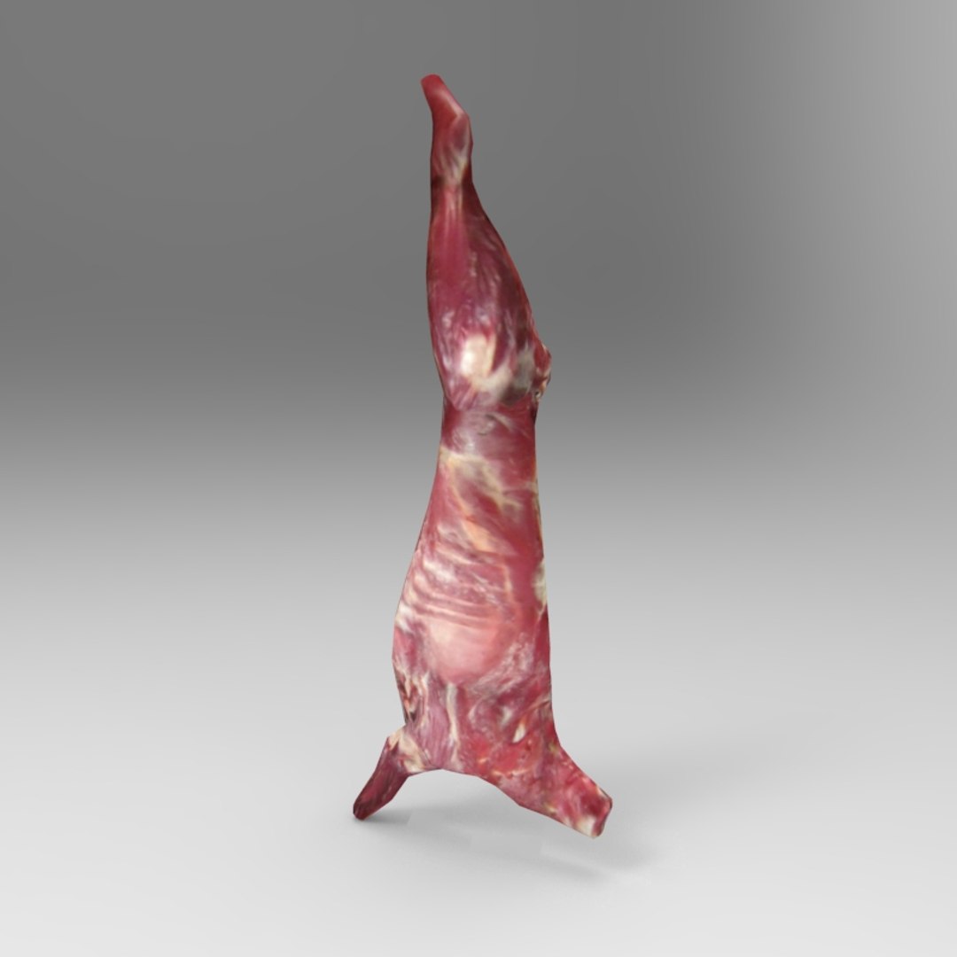 3d Meat Model
