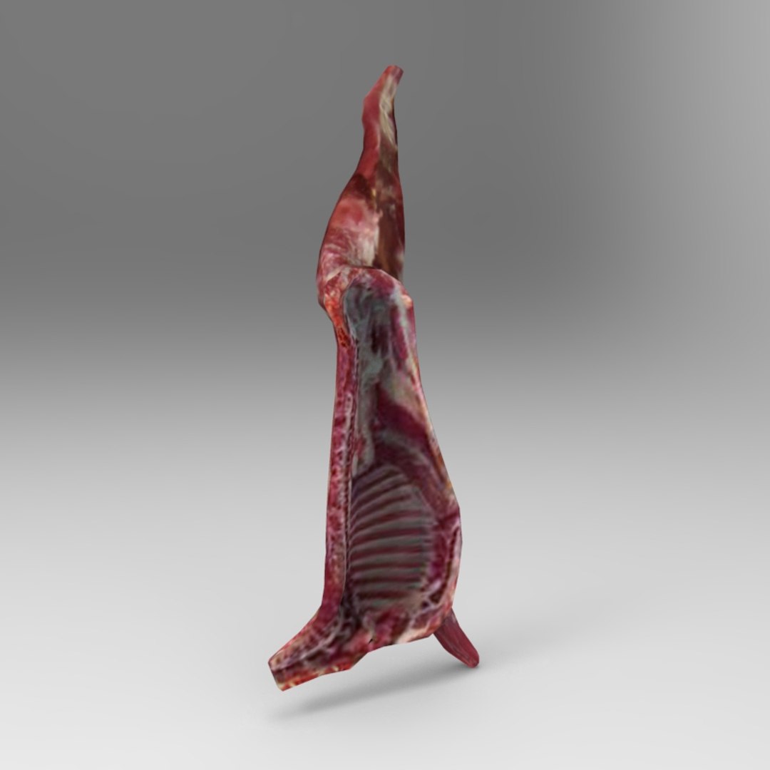 3d Meat Model
