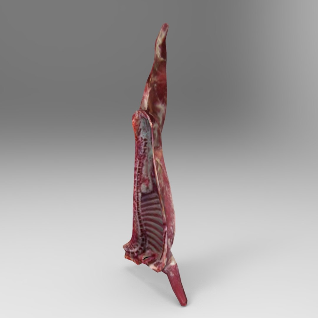3d Meat Model