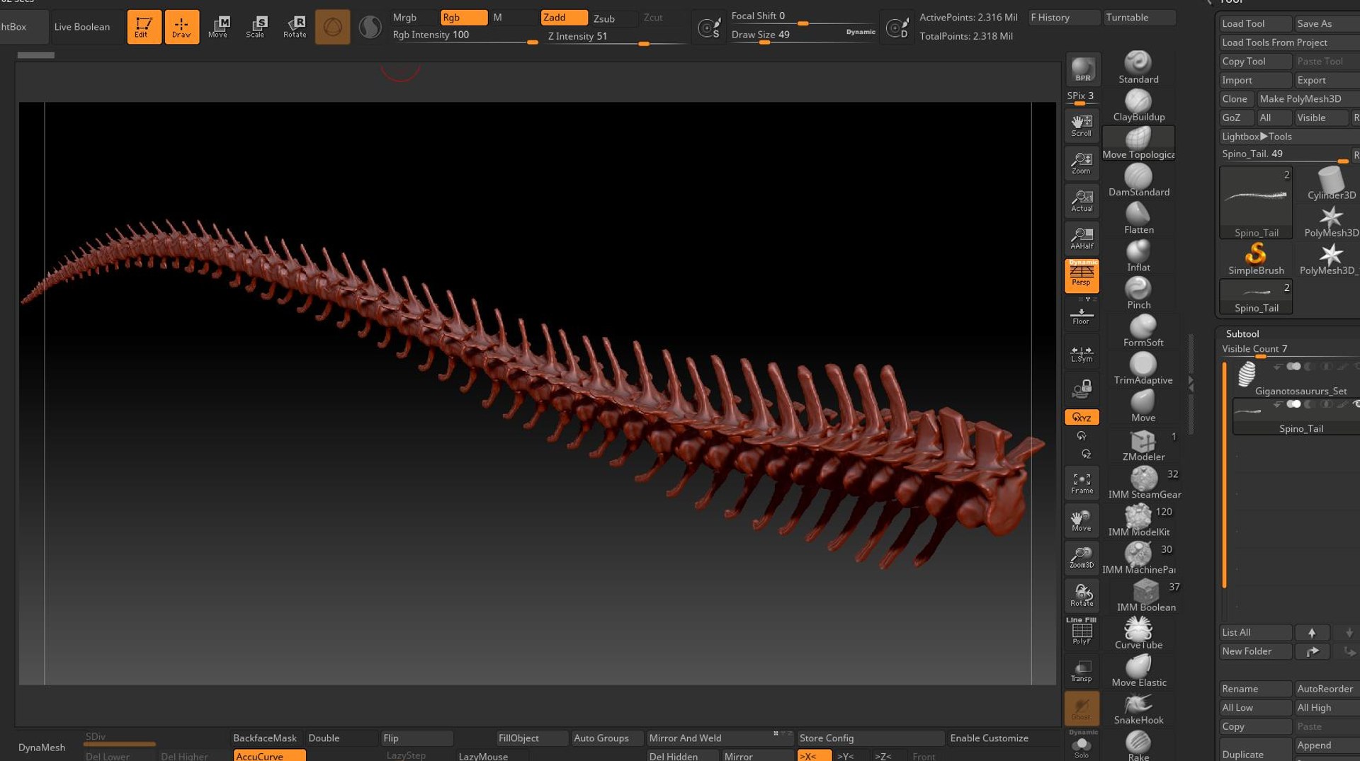Spinosaurus Tail Skeletons Set 3D Model - TurboSquid 1714697