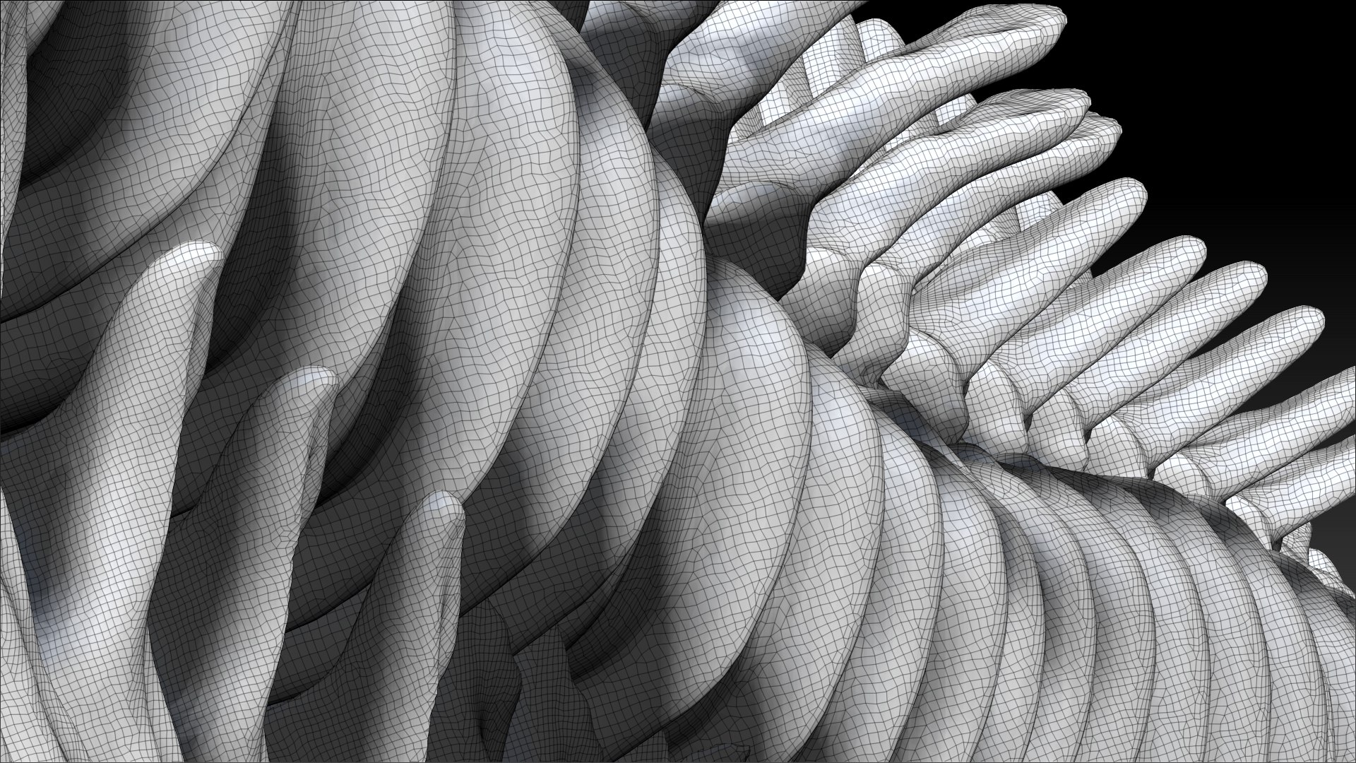 Spinosaurus Tail Skeletons Set 3D Model - TurboSquid 1714697