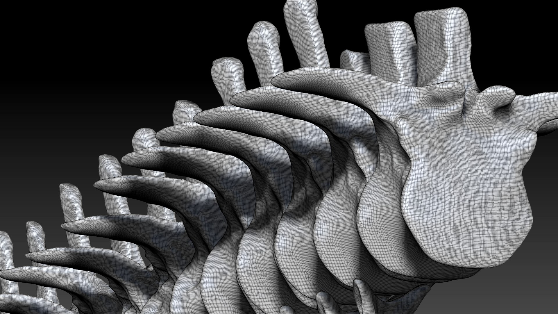 Spinosaurus Tail Skeletons Set 3D Model - TurboSquid 1714697