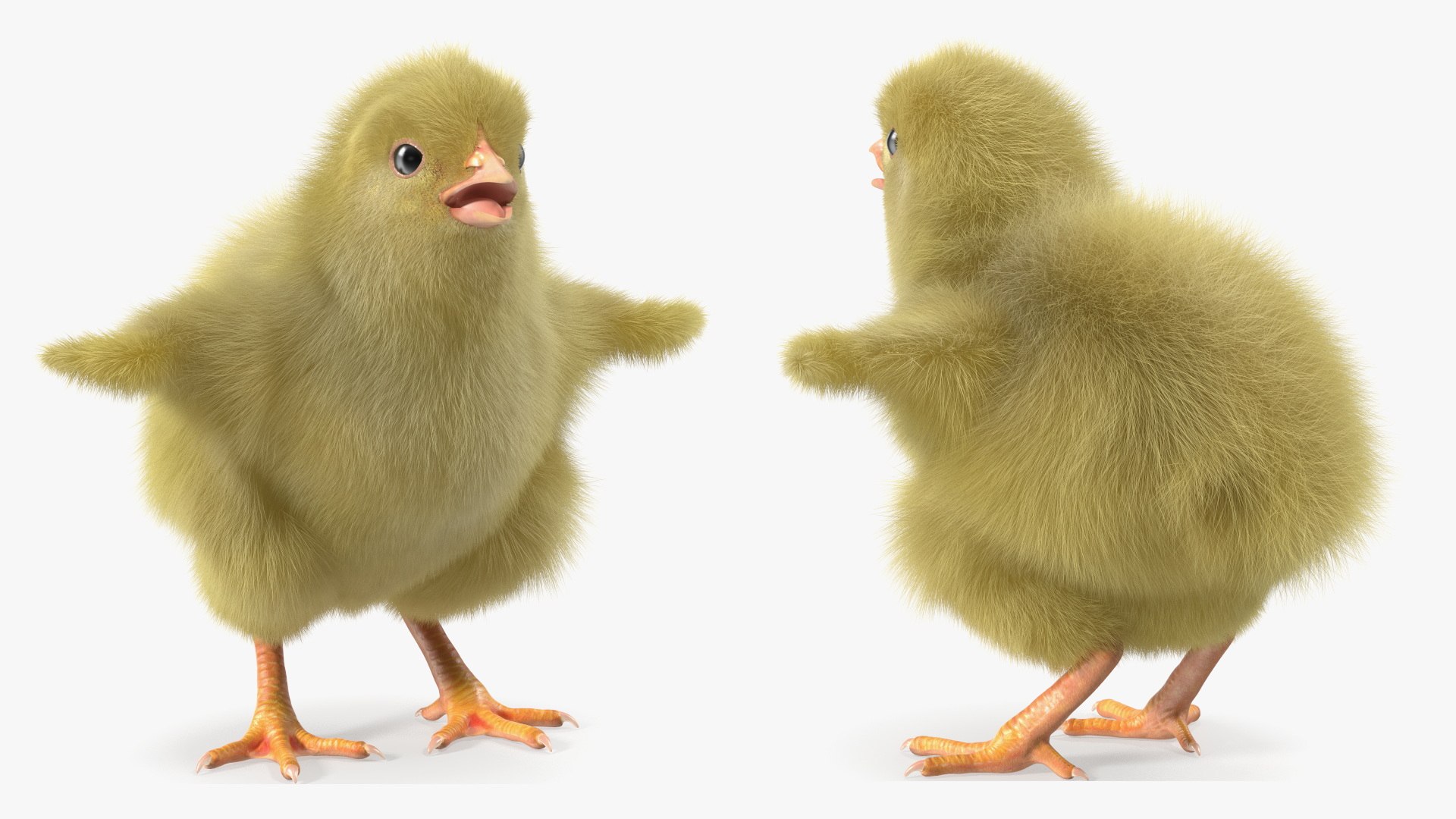 3D Baby Chick - TurboSquid 2089590