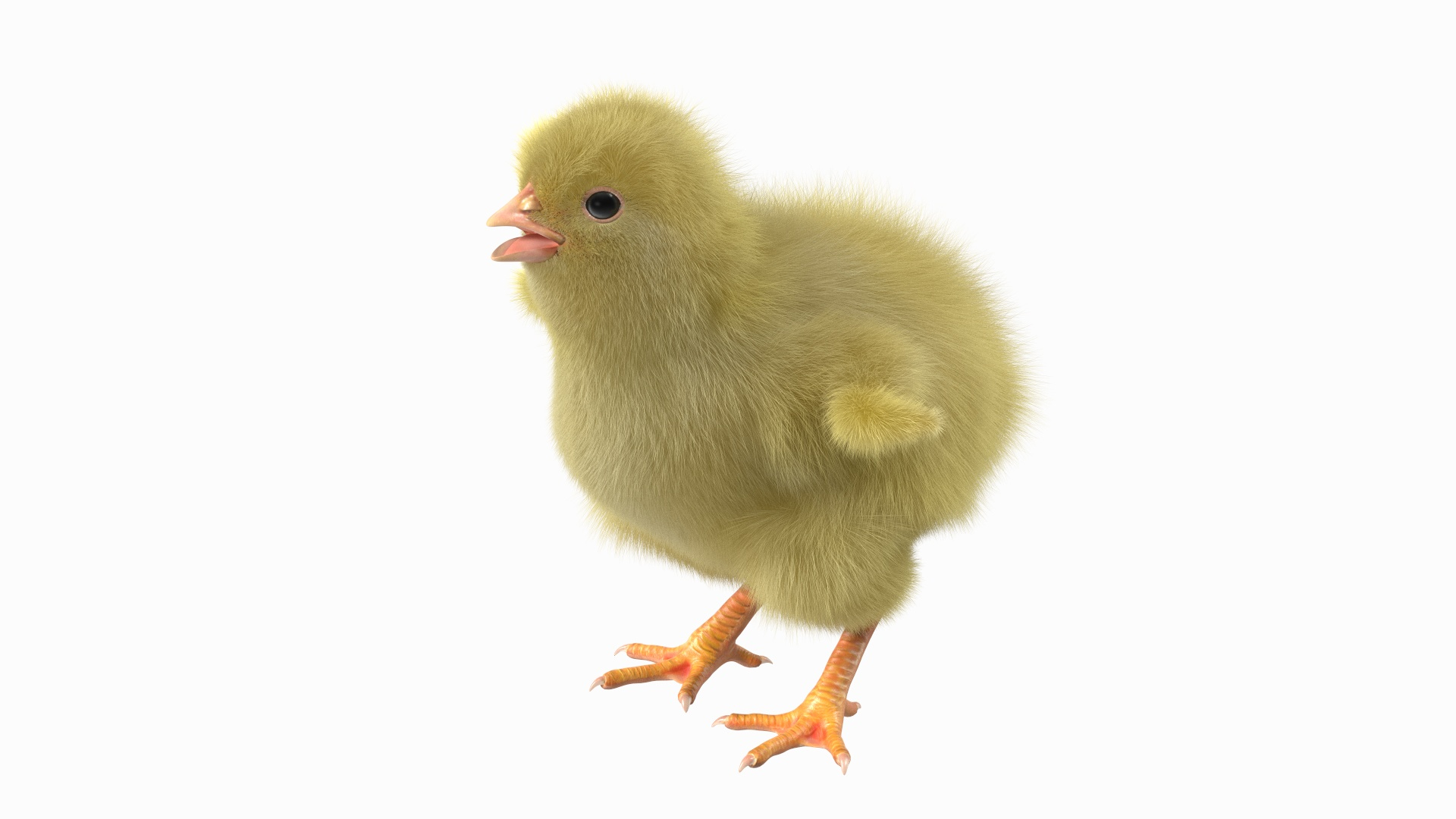 3D Baby Chick - TurboSquid 2089590