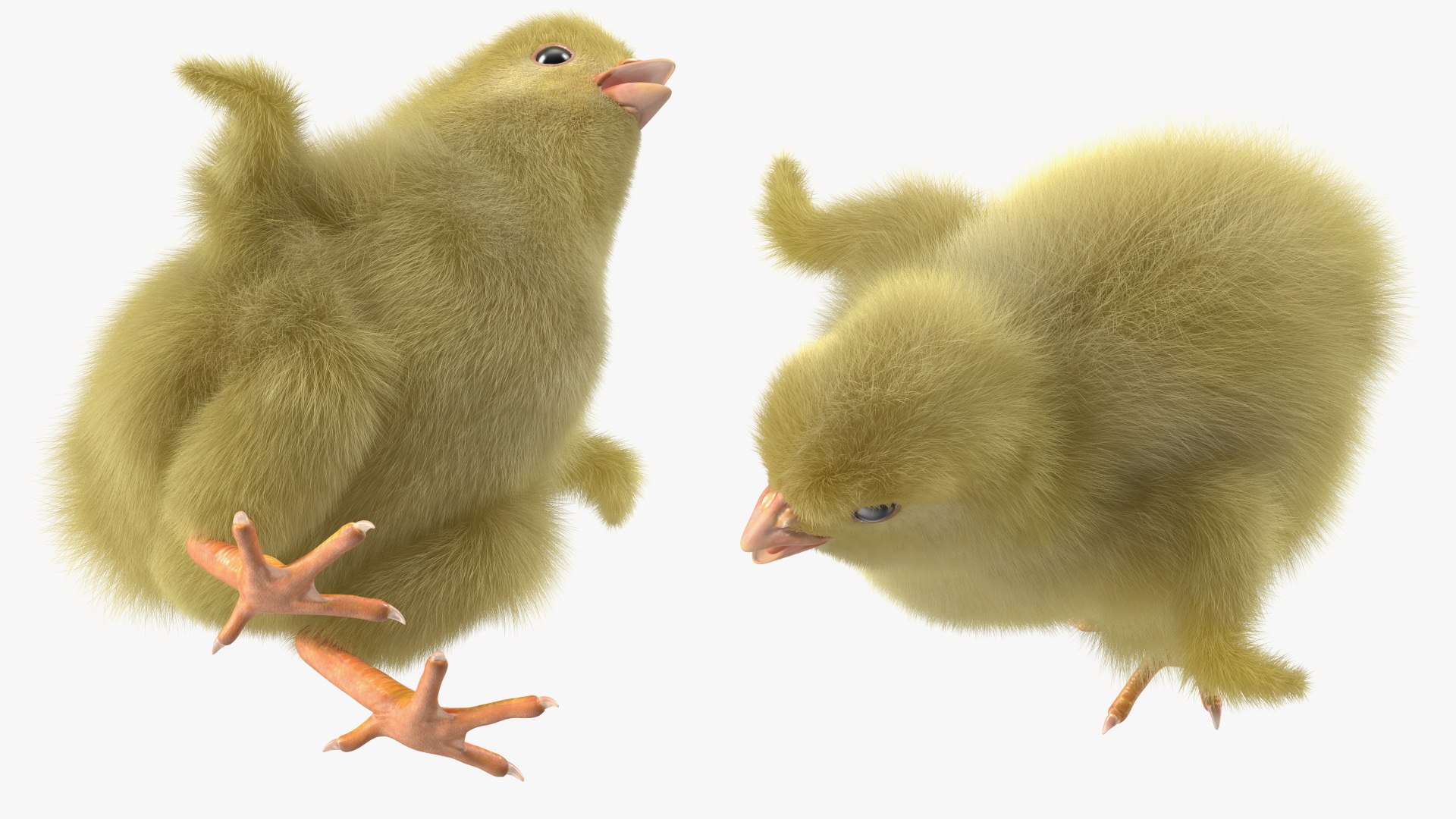 3D Baby Chick - TurboSquid 2089590