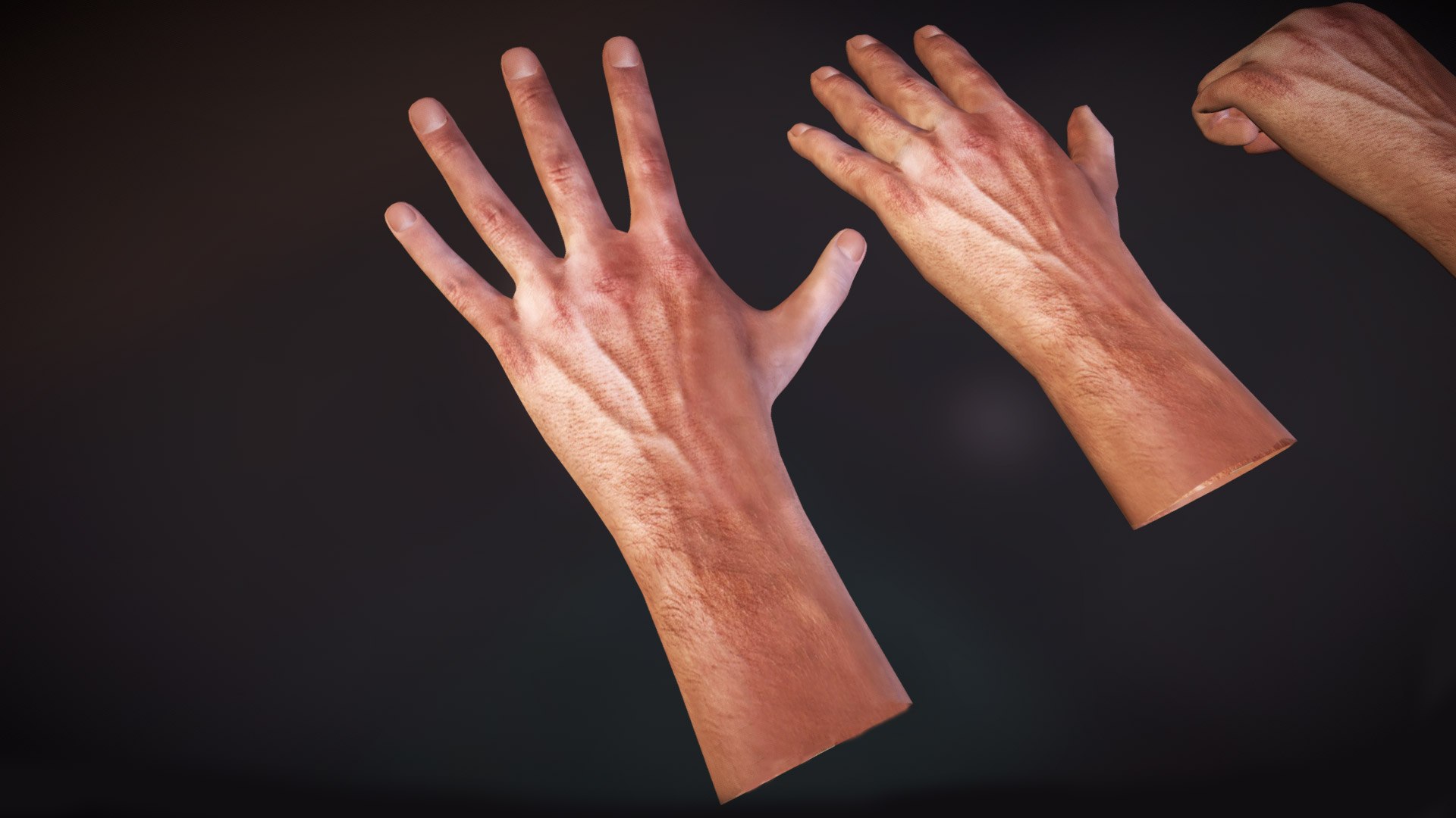 Hand Male Anatomy 3D Model - TurboSquid 1635440