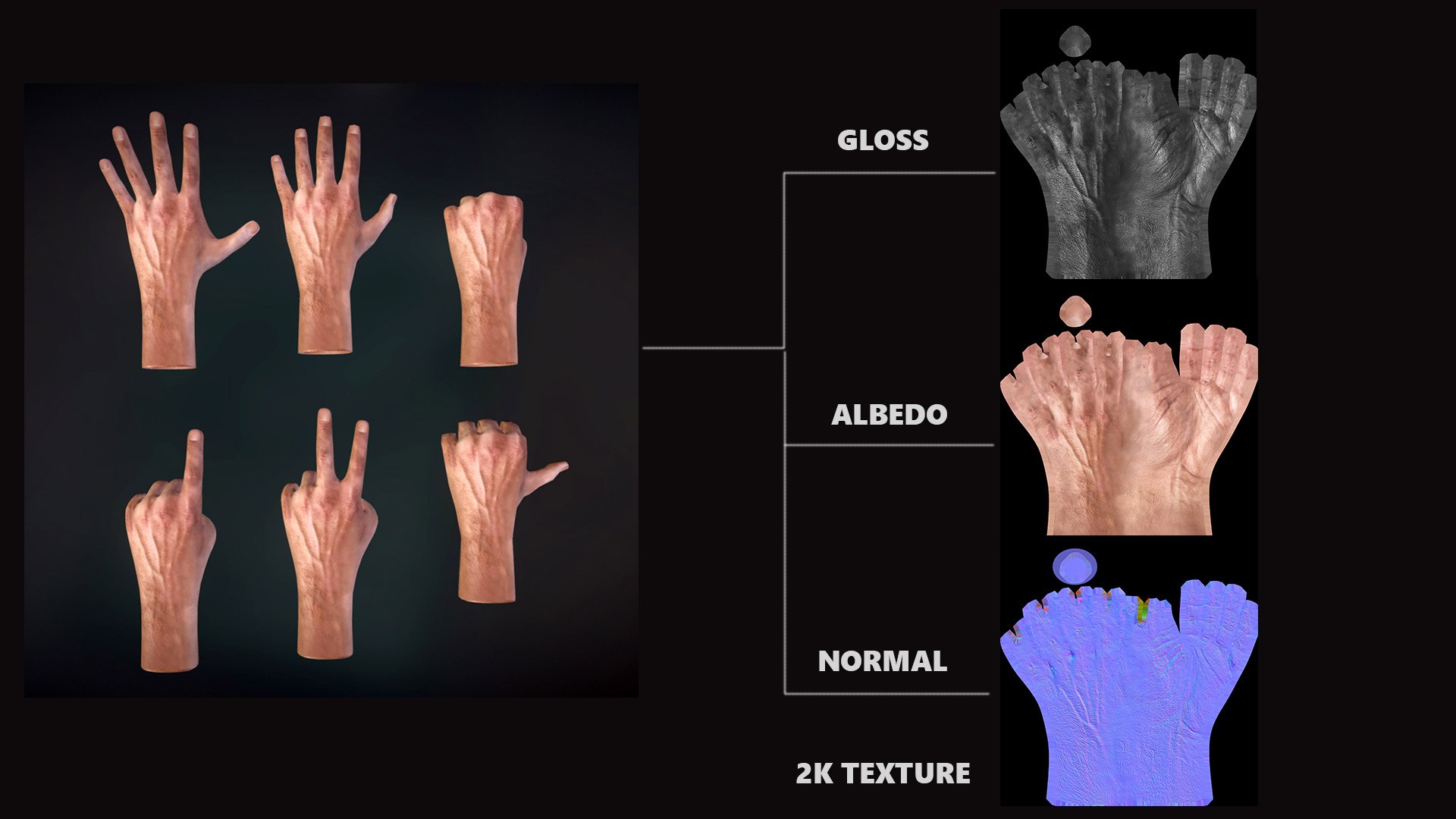 Hand Male Anatomy 3D Model - TurboSquid 1635440
